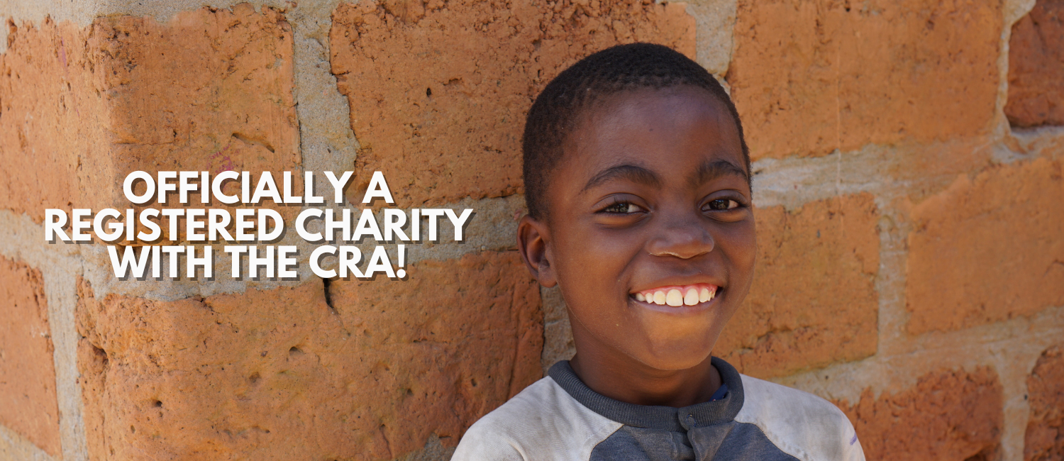 Reviving Africa – Restore. Renew. Revive.